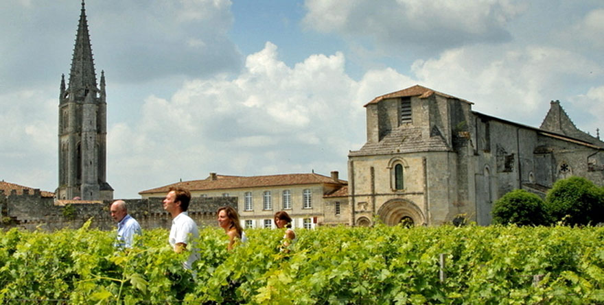 Wine tour France (english) - Prowine Language | Prowine Language